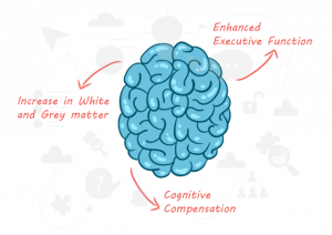 A Peek Inside the Multilingual Brain - Translate By Humans